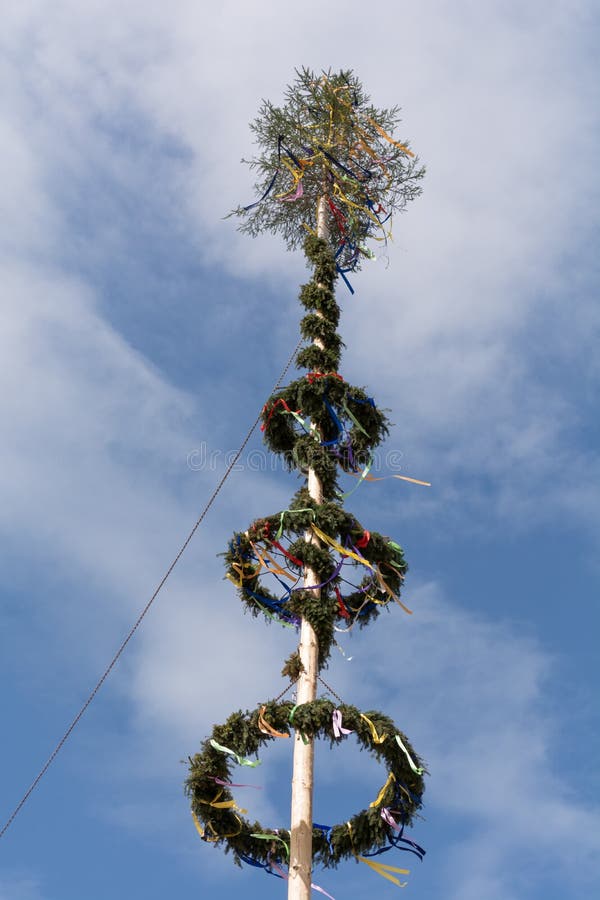 Traditional Czech Easter Decoration - Decorated Birch Tree Betula ...