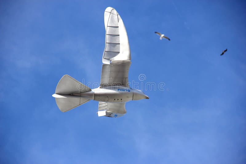 Festo smartbird editorial photography. Image of bird - 21811137