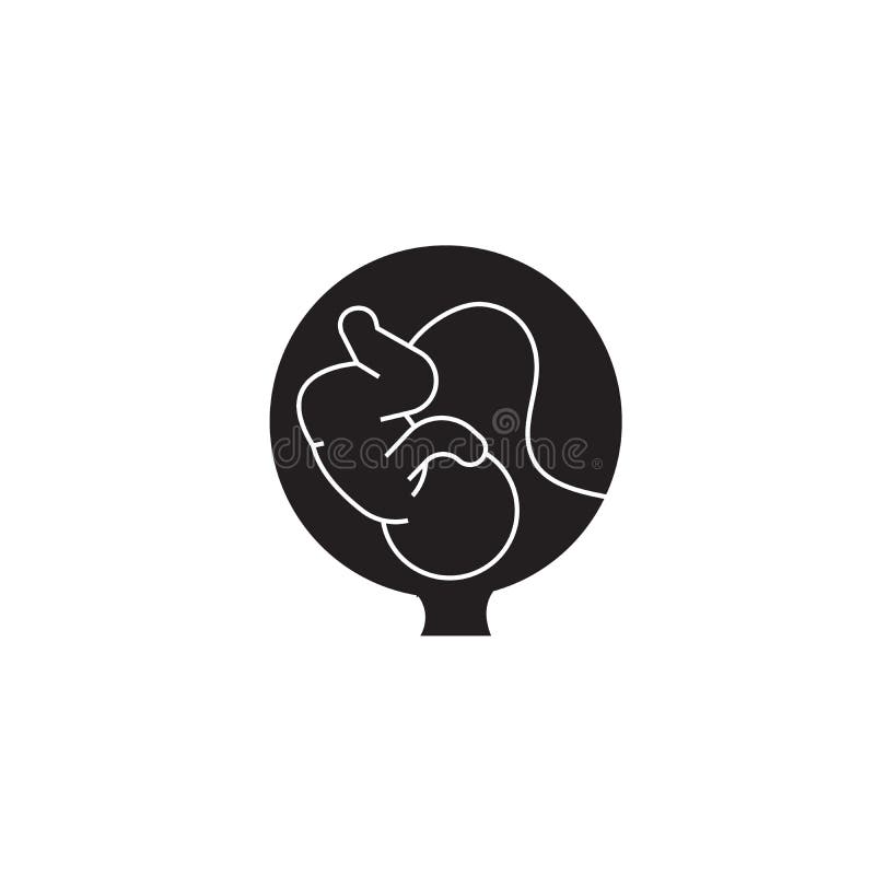 Fetal Development Black Vector Concept Icon. Fetal Development Flat ...