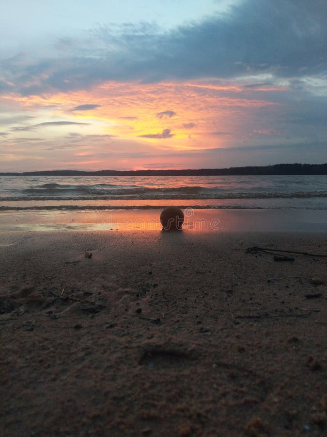 Fetch at sunset stock photo. Image of fetch, water, sunset - 164274710