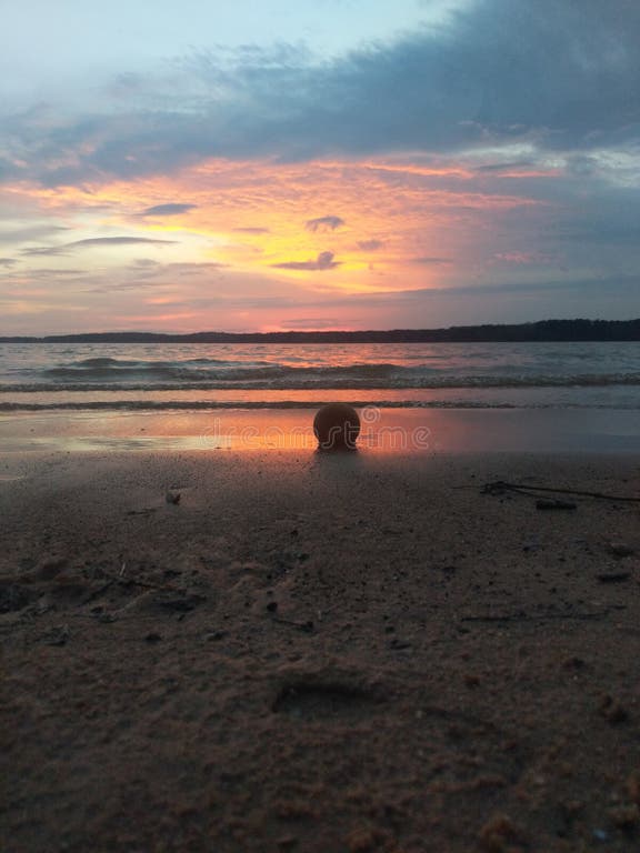 Fetch at sunset stock photo. Image of fetch, water, sunset - 164274710