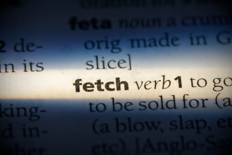 Fetch stock image. Image of focus, concept, meaning - 161577571