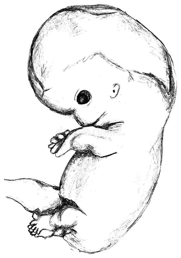 Feto Colorir Embrion Desenho Abrazo Imagui Pintar Sketch Coloring Page