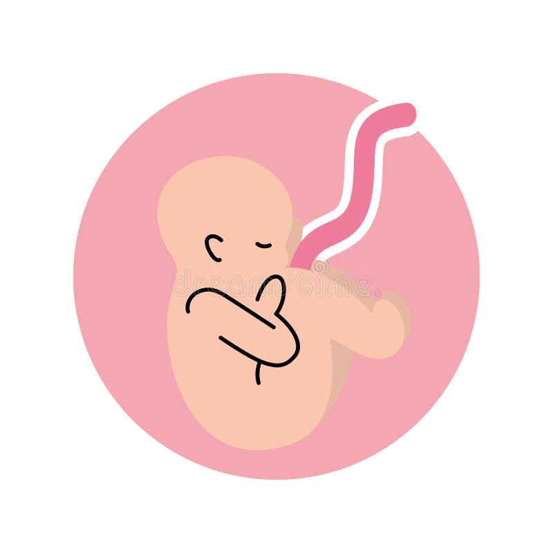 Feto humano ícone isolado ilustração do vetor. Ilustração de isolado ...