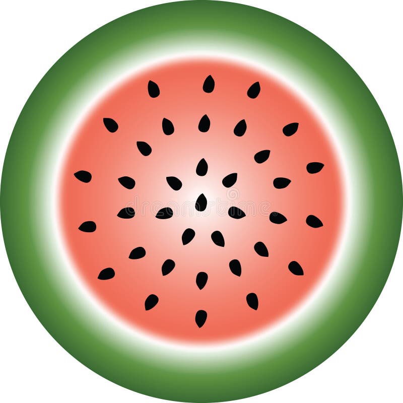 Fetta dell'anguria illustrazione vettoriale. Illustrazione di sano ...