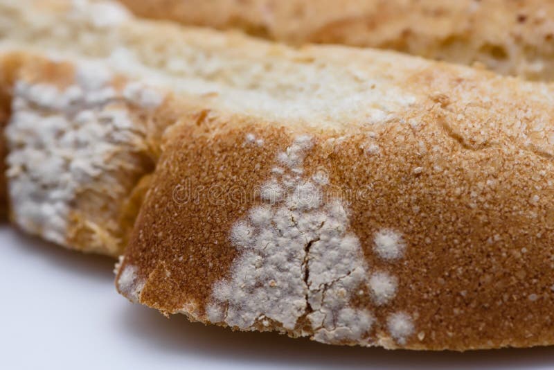 Fetta Di Pane Impilata Con La Macro Bianca Della Muffa Fotografia Stock ...