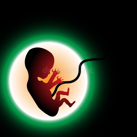 Tiny Fetus Stock Illustrations – 94 Tiny Fetus Stock Illustrations ...