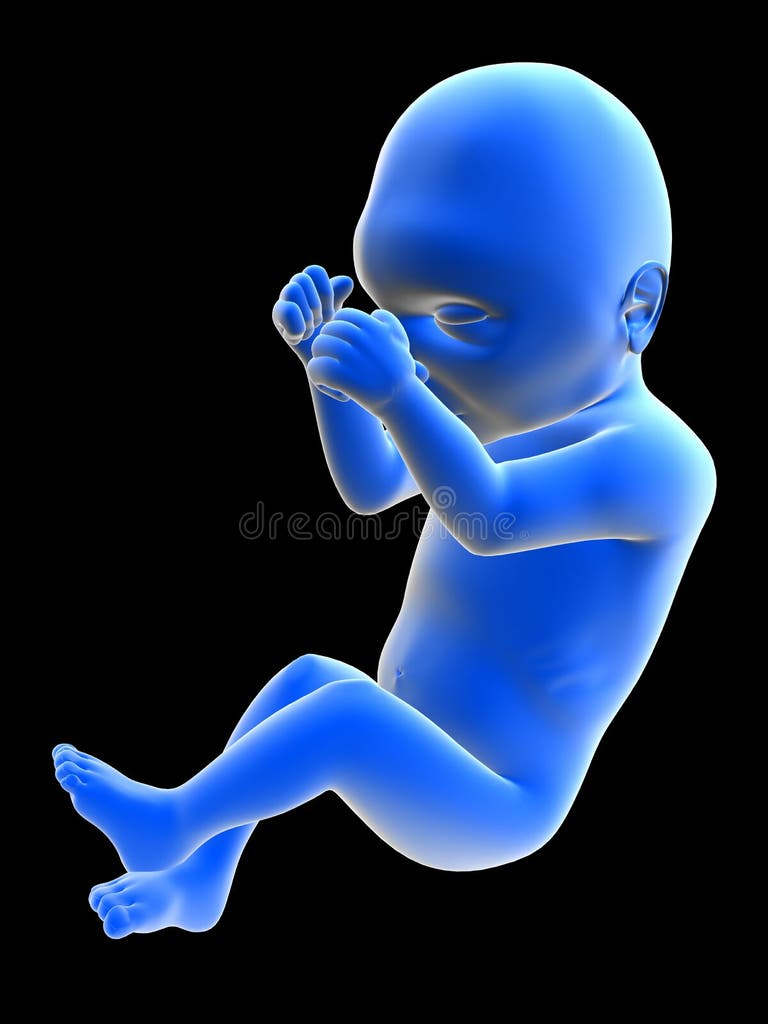 Small Fetus Stock Illustrations – 477 Small Fetus Stock Illustrations ...