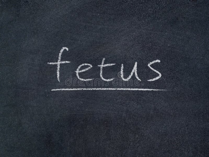 Fetus stock photo. Image of text, concept, fetus, chalkboard - 240932300