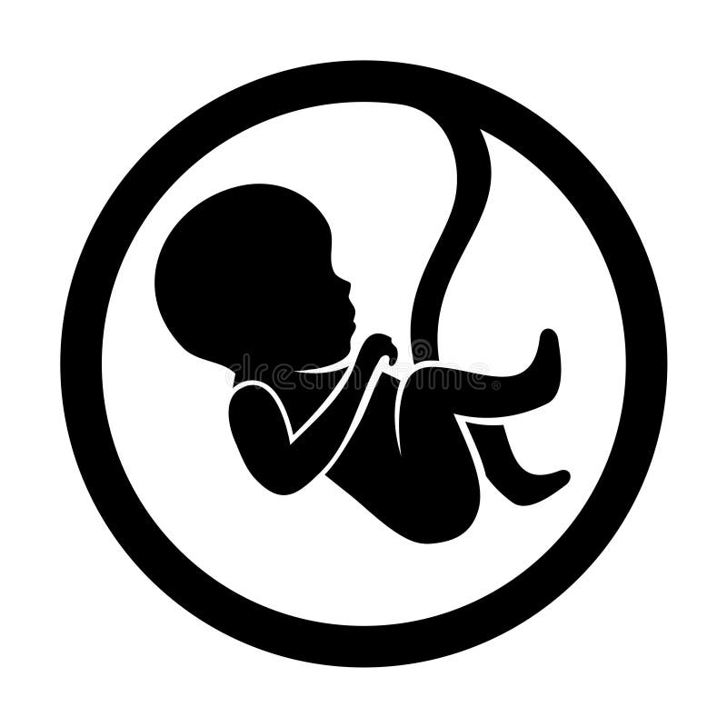 Fetus Icon Isolated on White Background Stock Vector - Illustration of ...