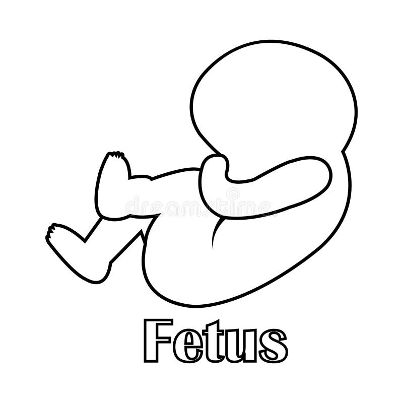 Simple Fetus Icon Stock Illustrations – 923 Simple Fetus Icon Stock ...