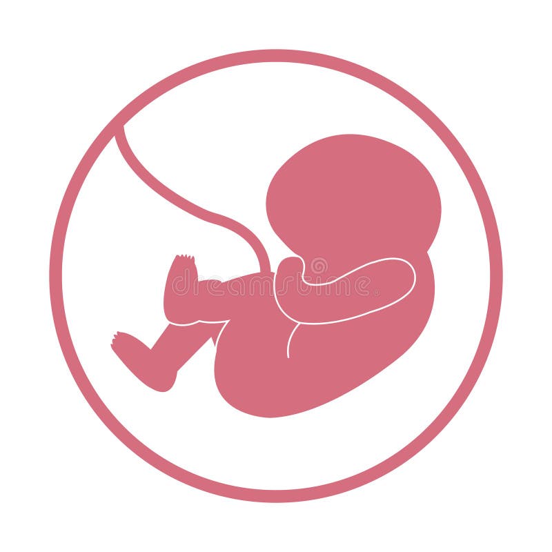 Simple Fetus Icon Stock Illustrations – 923 Simple Fetus Icon Stock ...