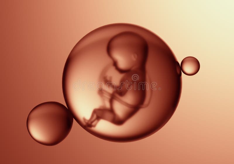 Fetus Inside a Sphere. Fertility and Science Concept Stock Illustration ...