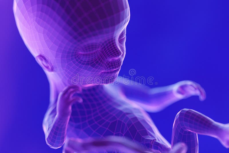 A fetus - week 14 stock illustration. Illustration of internal - 169368490