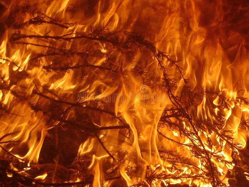 Feuer stockbild. Bild von feuer, gefährlich, brandstiftend - 1042587