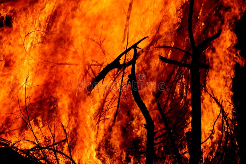 Hand auf Feuer stockfoto. Bild von flamme, brennen, leuchte - 8040024
