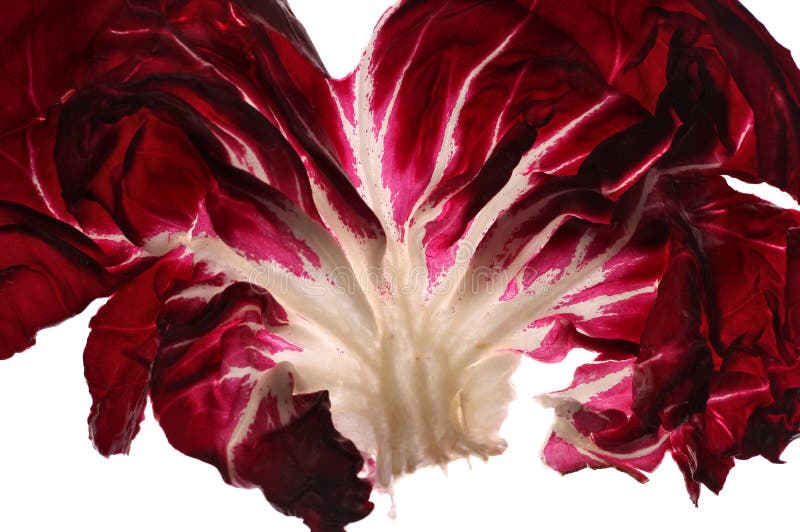 Feuille De Chou Rouge Photos Stock - Téléchargez 682 Photos libres de ...