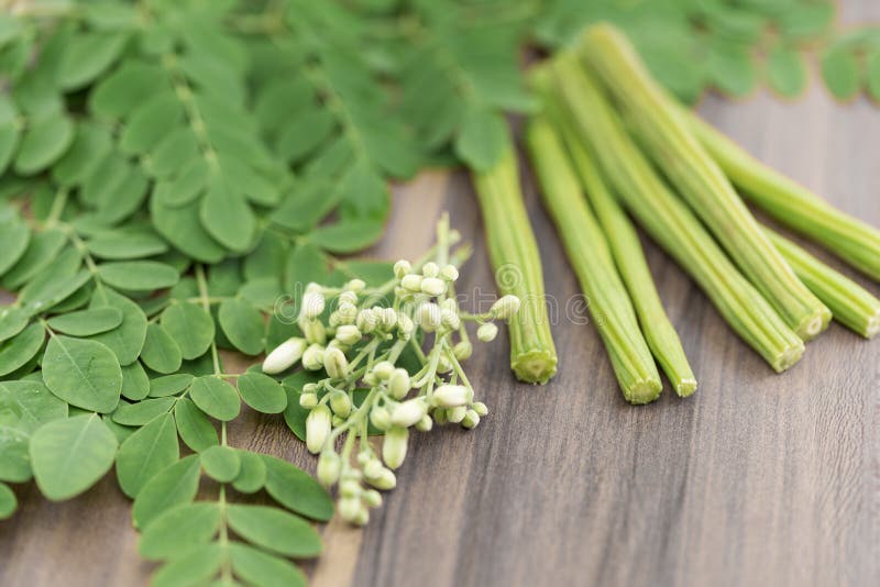 Fleur Comestible De Moringa Avec Les Feuilles Vertes Image stock ...