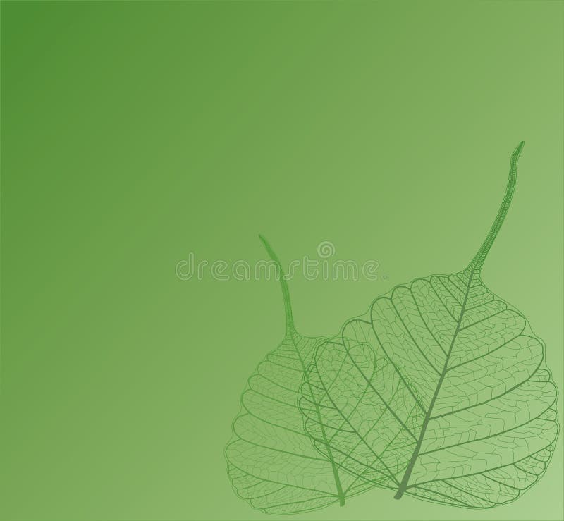 Feuille En Filigrane, Illustration Illustration Stock - Illustration du ...