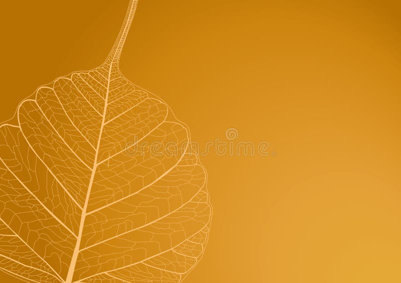Feuille En Filigrane, Illustration Illustration Stock - Illustration du ...