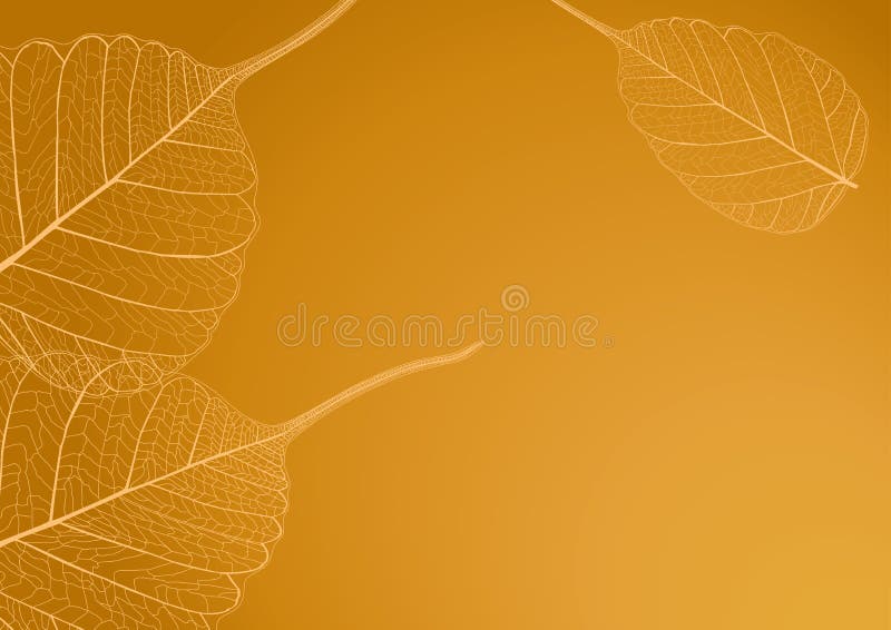 Feuilles En Filigrane Avec L'espace De Copie, Illustration Illustration ...