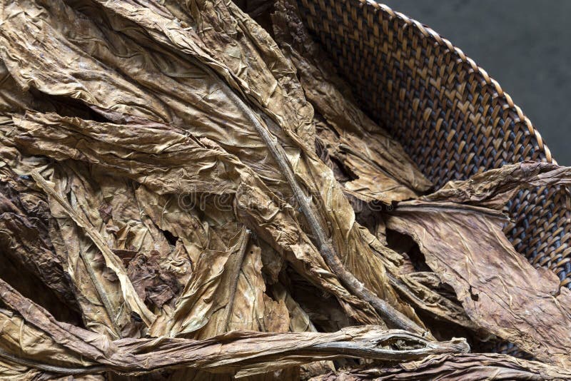 Texture Des Feuilles De Tabac De Cigare Photo stock - Image du cuba ...
