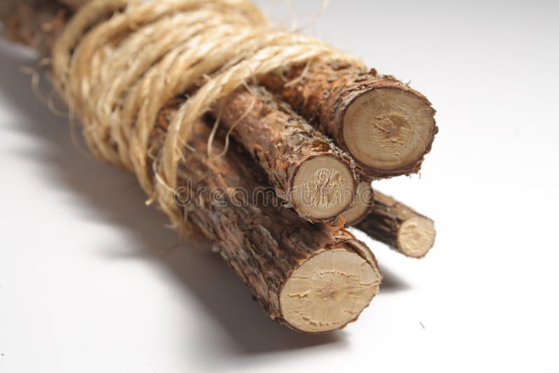 153 Twine Around Tree Stock Photos - Free & Royalty-Free Stock Photos ...