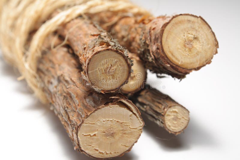 153 Twine Around Tree Stock Photos - Free & Royalty-Free Stock Photos ...