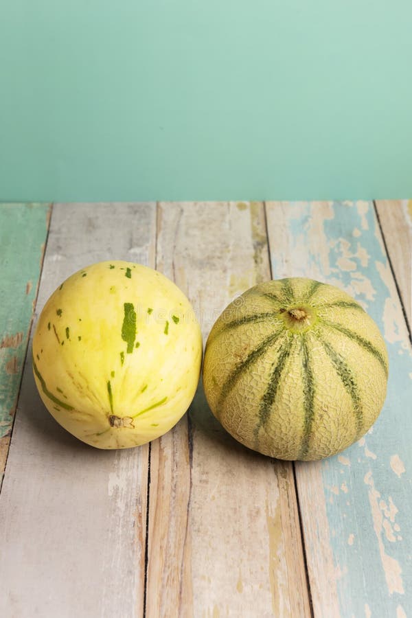 A Row of Ripe Melons of Different Varieties Stock Image - Image of ...