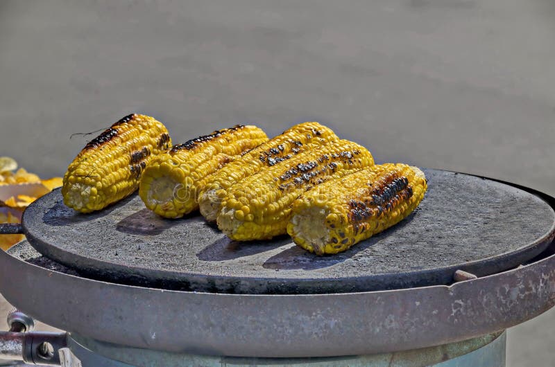 A Few Fresh Corn Cobs without Green Leaves on a Baking Tray Stock Photo ...