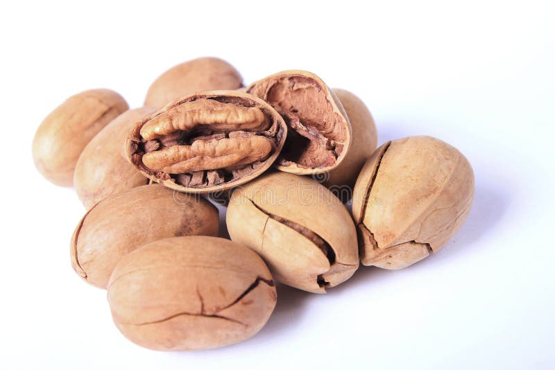 Few pecan nuts stock image. Image of carya, healthy, unshelled - 20135947