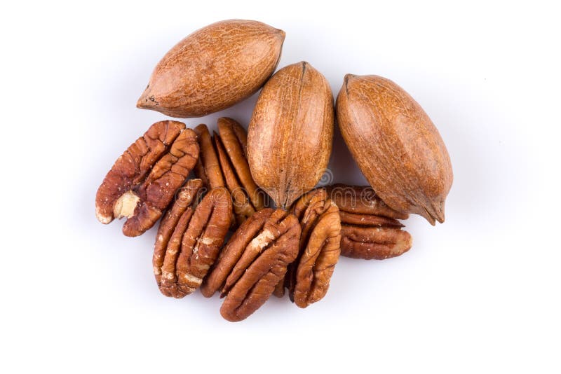 Few Pecan Nuts Isolated on White Stock Photo - Image of brown, pecan ...