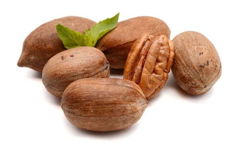 Few Pecan Nuts Isolated on White Stock Photo - Image of royalty, brown ...