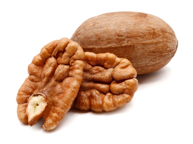 Few Pecan Nuts Isolated on White Stock Photo - Image of nutcracker ...