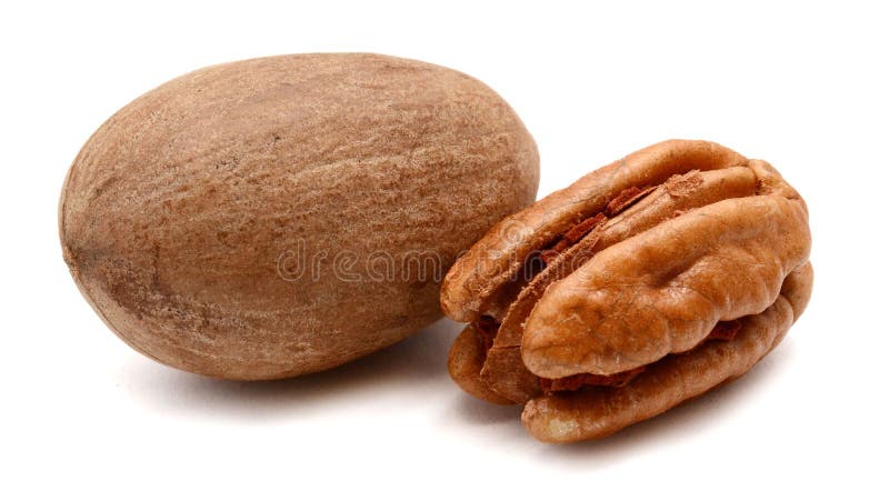 Few Pecan Nuts Isolated on White Stock Photo - Image of silver, closeup ...