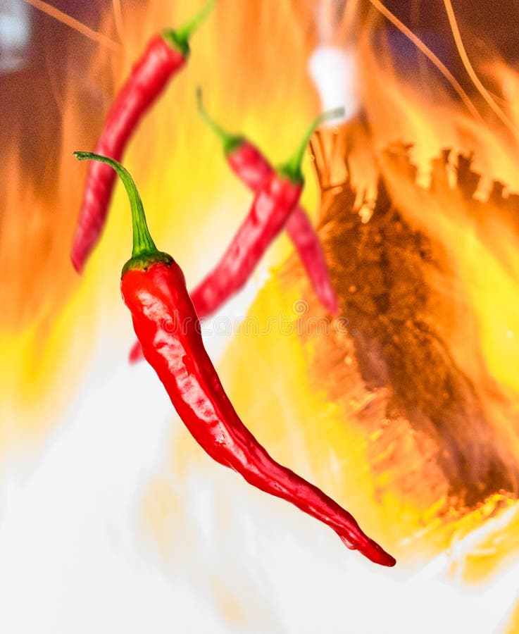 Few Pieces of Chili Peppers and Fire Stock Image - Image of chili ...