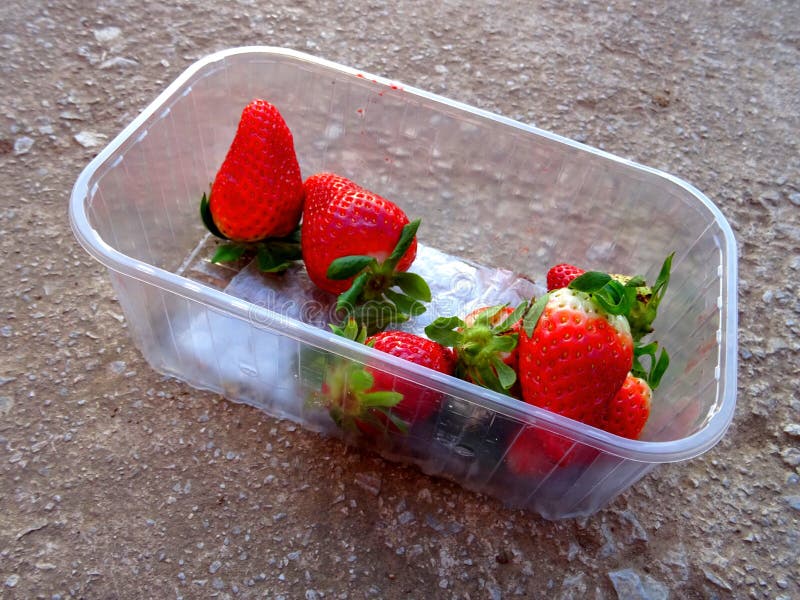 Few Strawberries in a Plastic Container Stock Image - Image of plastic ...