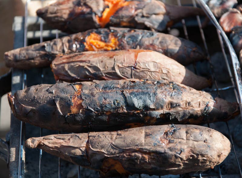 A few sweet potatoes stock image. Image of firen, potatoes - 48375199