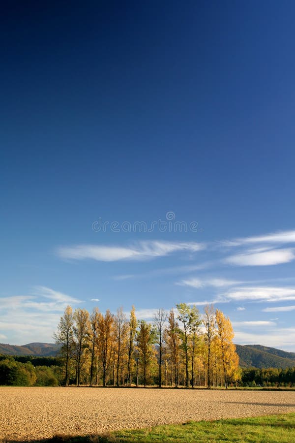 Few trees and acre stock photo. Image of cloud, white - 2335544