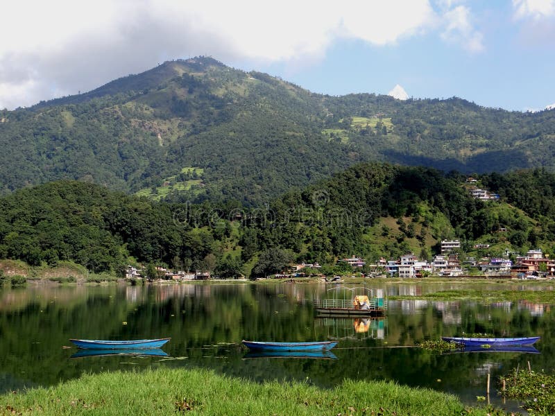 Fewa Lake, Nepal stock image. Image of wetland, bank - 56054101
