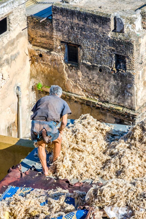 Wool in tannery, Fez editorial stock photo. Image of african - 107418073