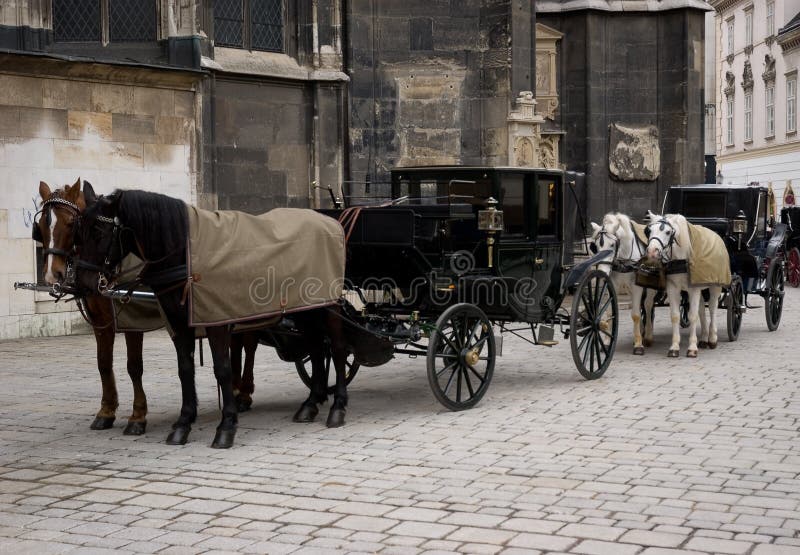 Fiaker stock photo. Image of horse, travel, vienna, carriage - 750102