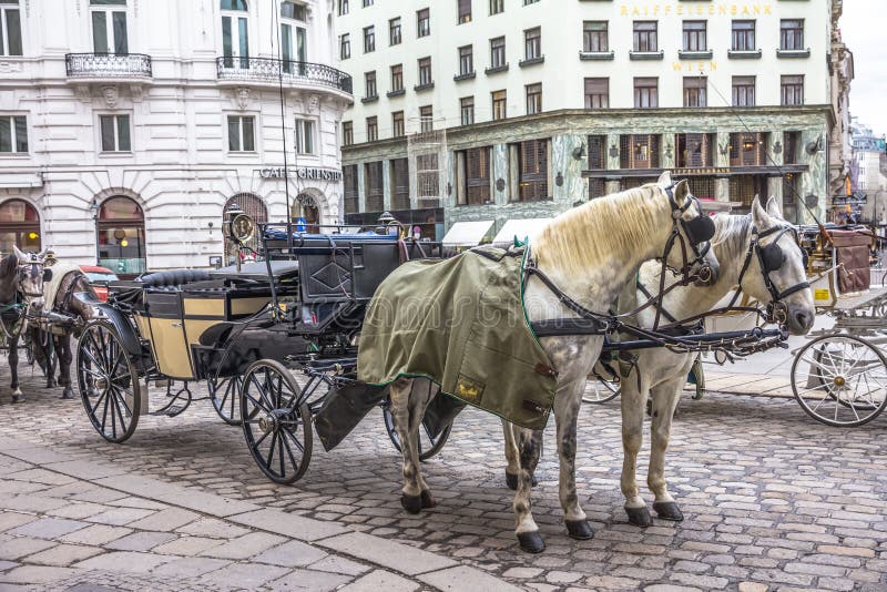 Fiaker Carriage in Vienna editorial image. Image of architecture - 29436555