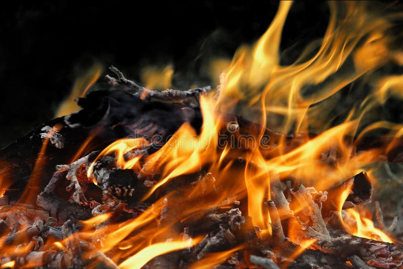 Fiammata Del Fuoco Del Particolare Immagine Stock - Immagine di fiamma ...