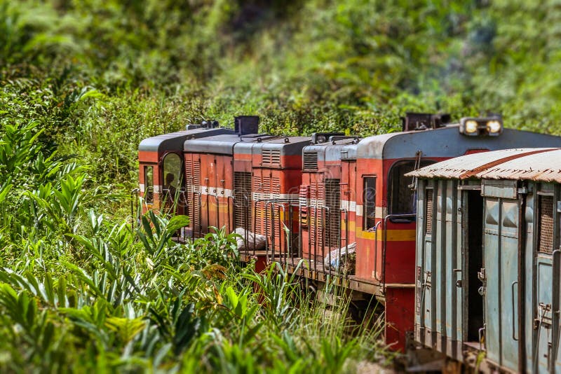 Madagascar Railway Stock Photos - Free & Royalty-Free Stock Photos from ...