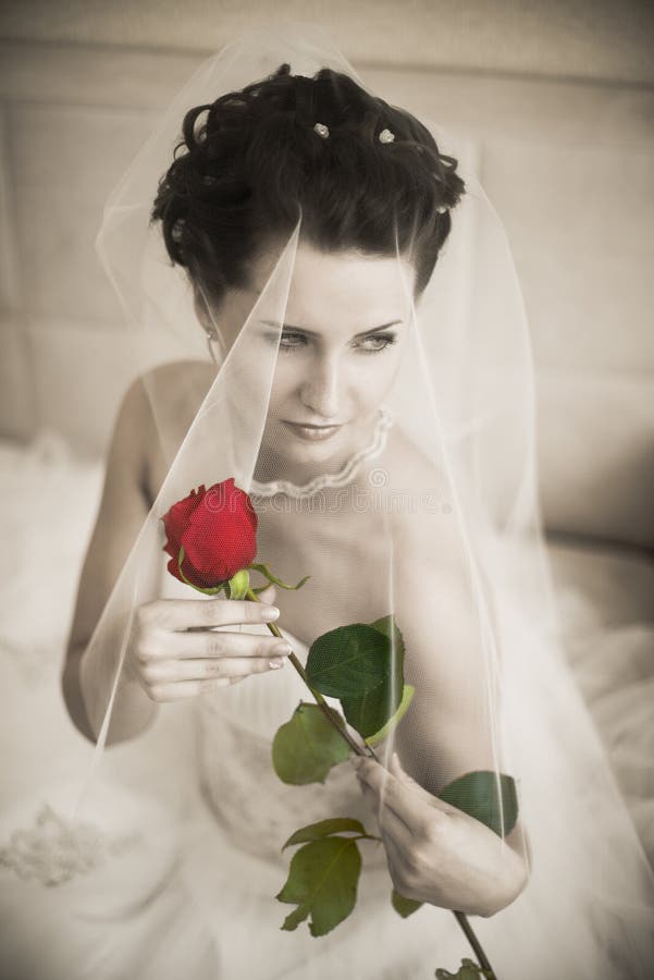 Fiancee stock image. Image of girl, celebrations, portrait - 26829019