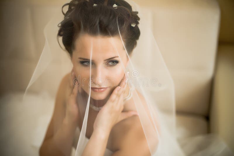 Fiancee stock photo. Image of wedded, girl, horizontal - 26829048