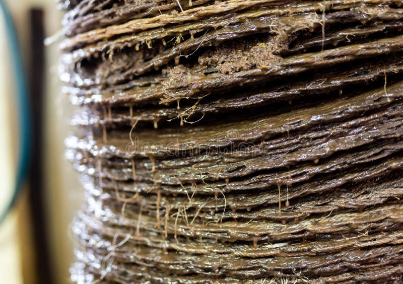 Fiber Mats with Olive Paste during Pressing Stock Image - Image of ...