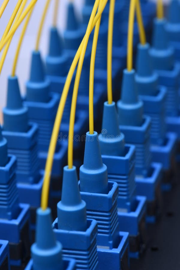 Fiber Network Yellow Optical Network Cables Stock Image - Image of ...