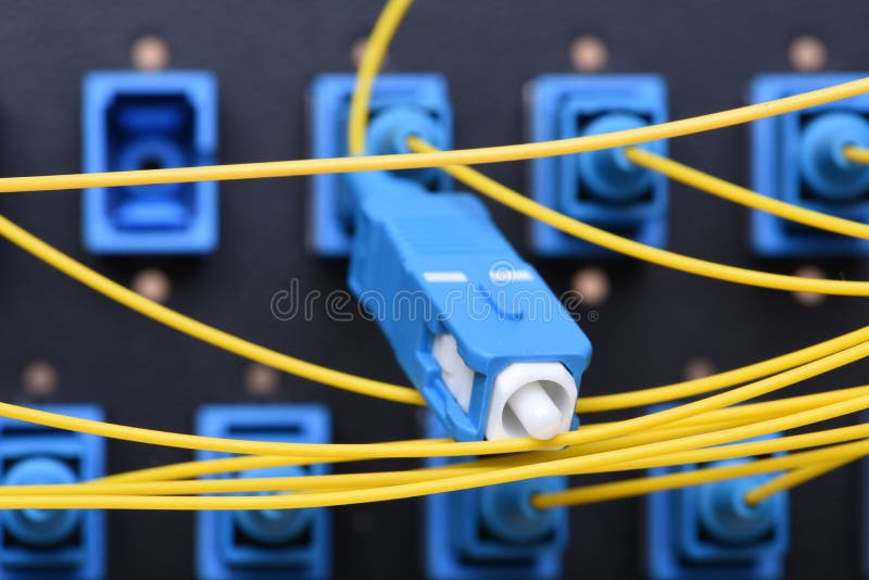 Fiber Network Yellow Optical Network Cables Stock Image - Image of ...